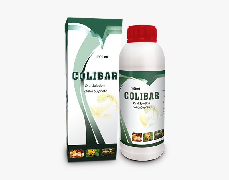 Colibar Oral Solution: Dosage, Efficacy, and Safety Considerations ...